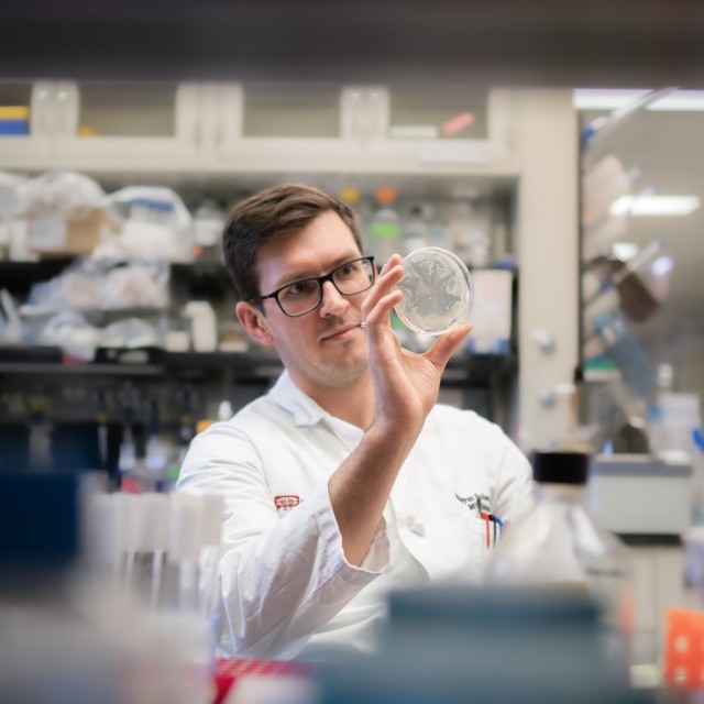 Postdoctoral Training | Department of Microbiology | The University of ...